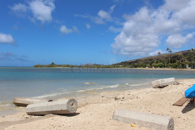 Stones of Logs by the Beach Stock Image - Image of grass, trees: 112538033