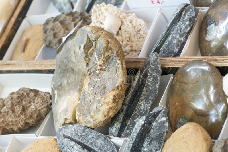 Stones and minerals stock photo. Image of mineralogy - 229838814