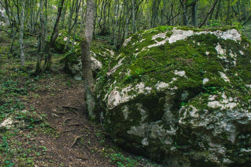 The Stones and the Moss stock image. Image of serbia - 85958375