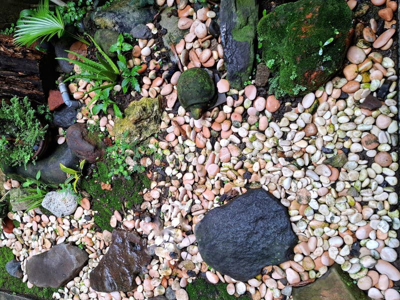 Stones and Moss Landscape Architectural Photographed Landscape Stock ...