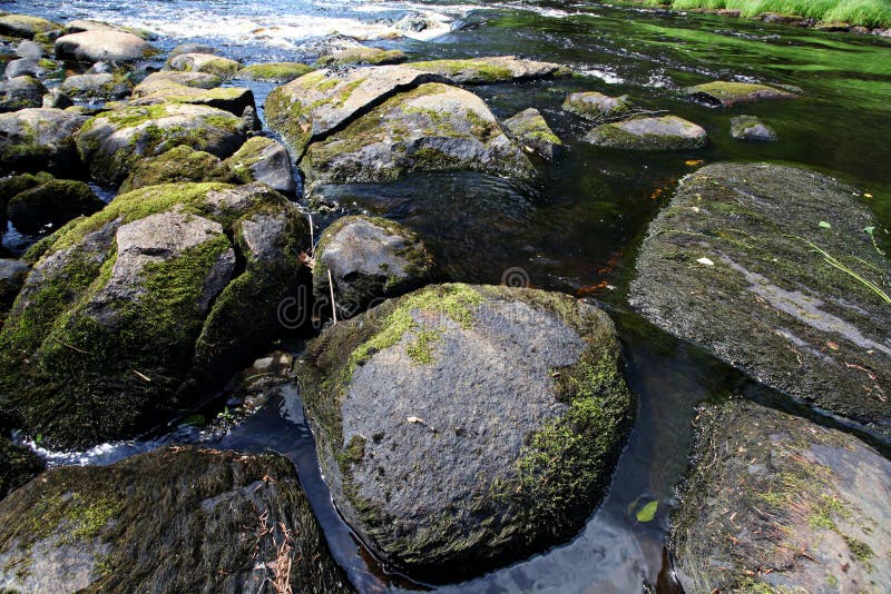 Stones in a Mountain River Moss Stock Photo - Image of motion, fall ...