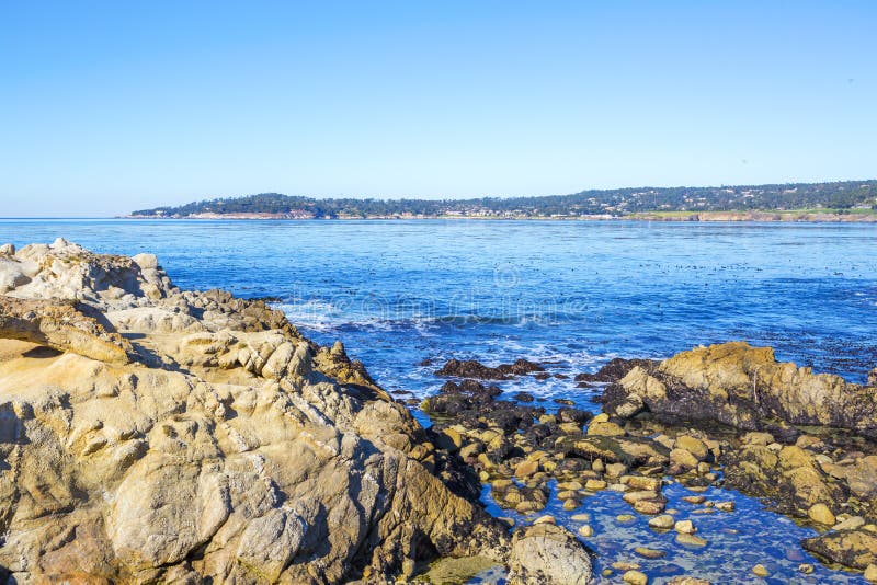 Stones ocean beach stock photo. Image of smooth, white - 72893862