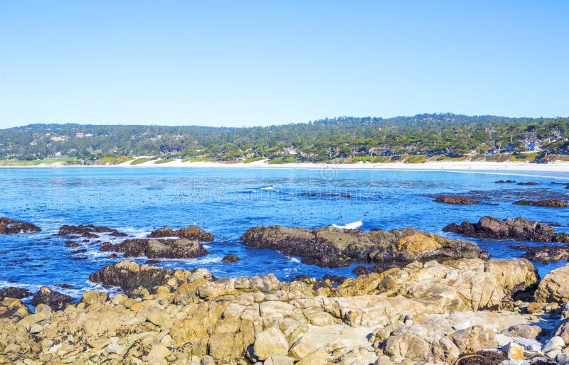 Stones ocean beach stock image. Image of coast, ocean - 72897455