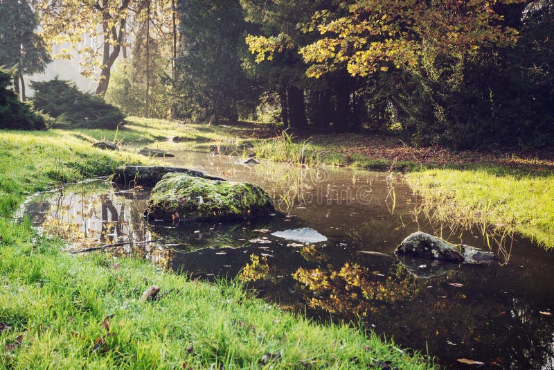 Stones Overgrown with Moss in the Brook Stock Image - Image of lake ...
