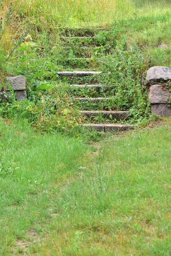 Stones and Overgrown Stairs among the Grass. Summer. Day Stock Image ...