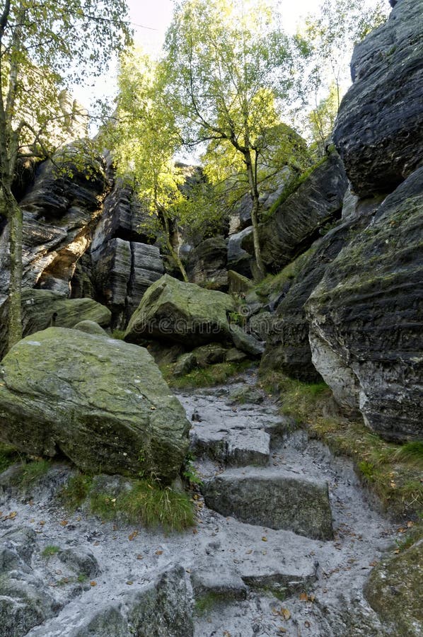 Feww Trees Stock Photos - Free & Royalty-Free Stock Photos from Dreamstime