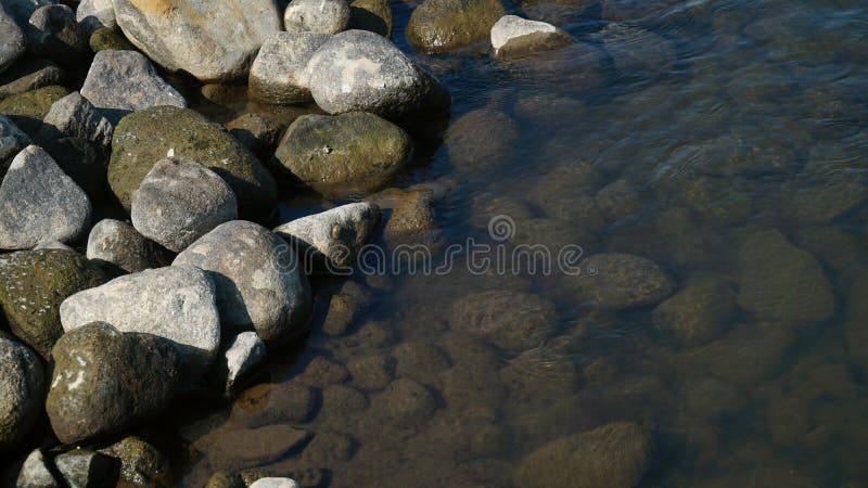 The Stones and Pebbles on the River Bank, Some are Submerged in Water Stock Photo - Image of ...