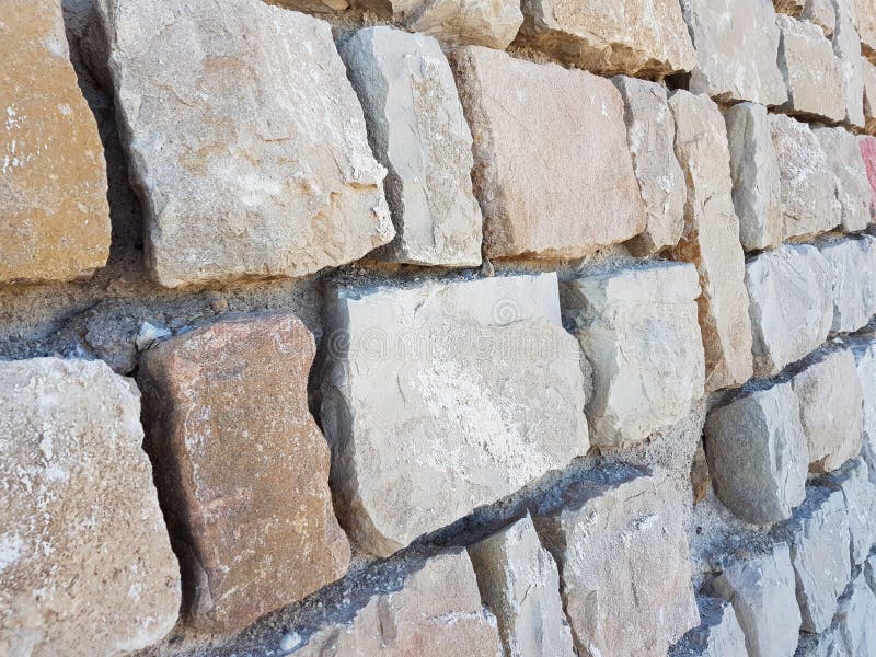 Color Retro / Shadow of Tree Branches on Concrete Street Background To ...