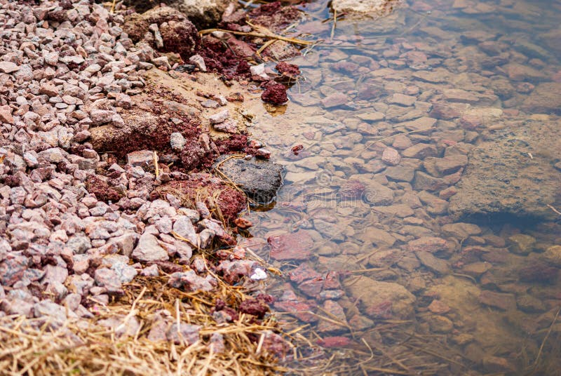 Stones and Red Clay and Transparent Puddle Stock Image - Image of ...