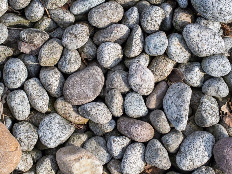 Stones in the River Became Rounded Edges Stock Photo - Image of grey ...