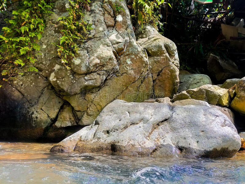 Stones by the River Flows Water in the Forest Tropical Stock Image ...