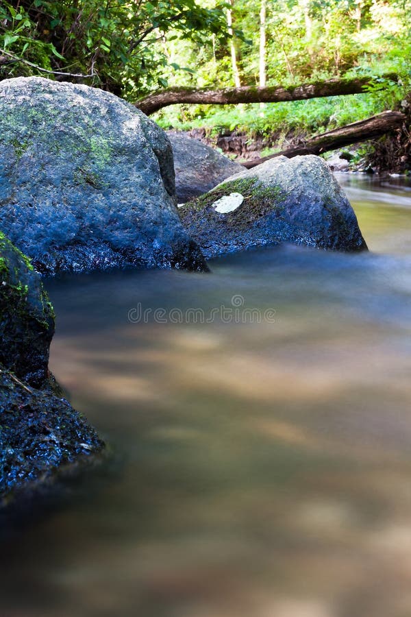 Stones in the river stock image. Image of forest, stream - 47889805