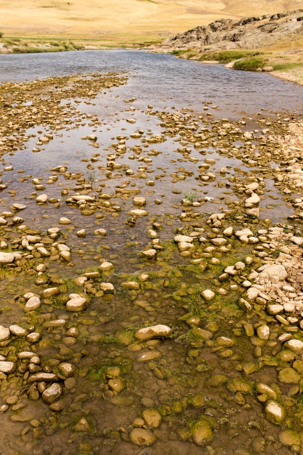Stones in the River in Nature Stock Photo - Image of water, pattern ...