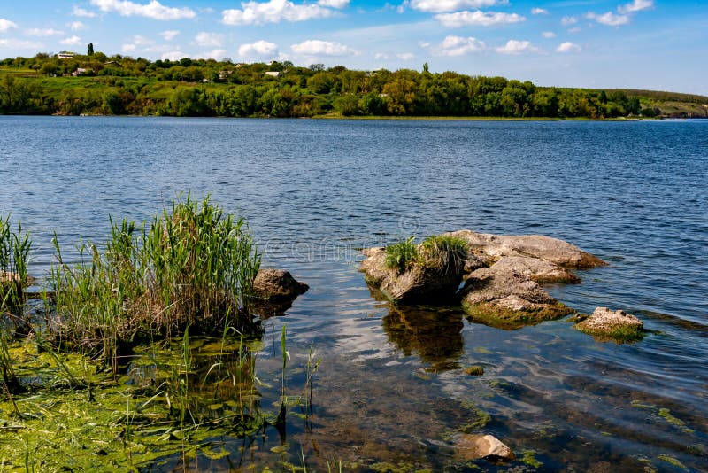 Stones in river stock photo. Image of river, summer, stones - 81421468