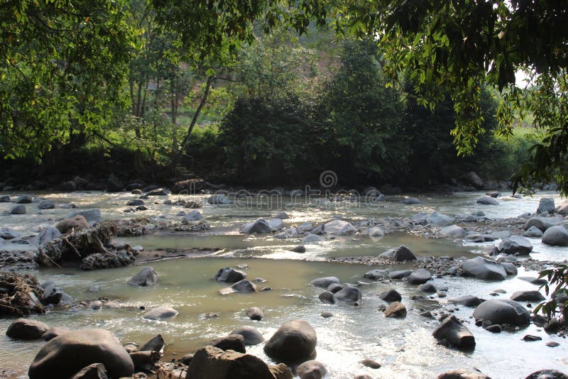 Stones in the River in West Java Stock Photo - Image of path, lifestyle ...