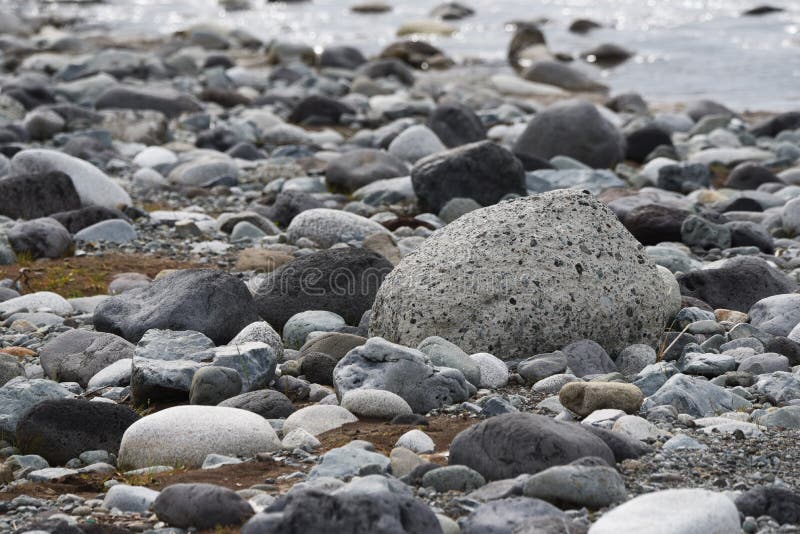 Stones on the riverbed stock photo. Image of riverbed - 172688144