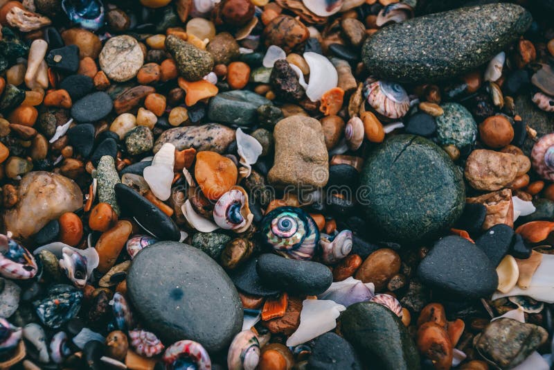 Stones, Rocks and Shells on a Beach Stock Photo - Image of vintage ...