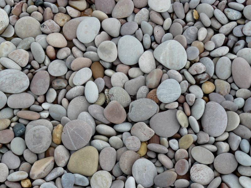 Stones stock photo. Image of pebbles, rocks, devon, nature - 31313338