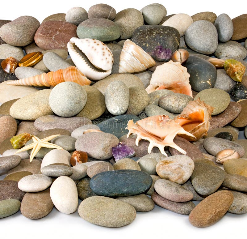 Stones and sea shells stock photo. Image of beach, scallop - 56458578