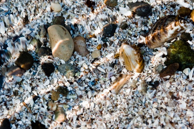 Stones and Shells stock image. Image of transparent, shell - 13573123