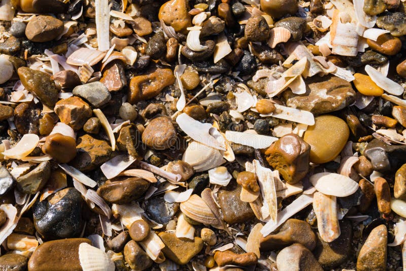 Stones and shells stock image. Image of colorful, colors - 170954511