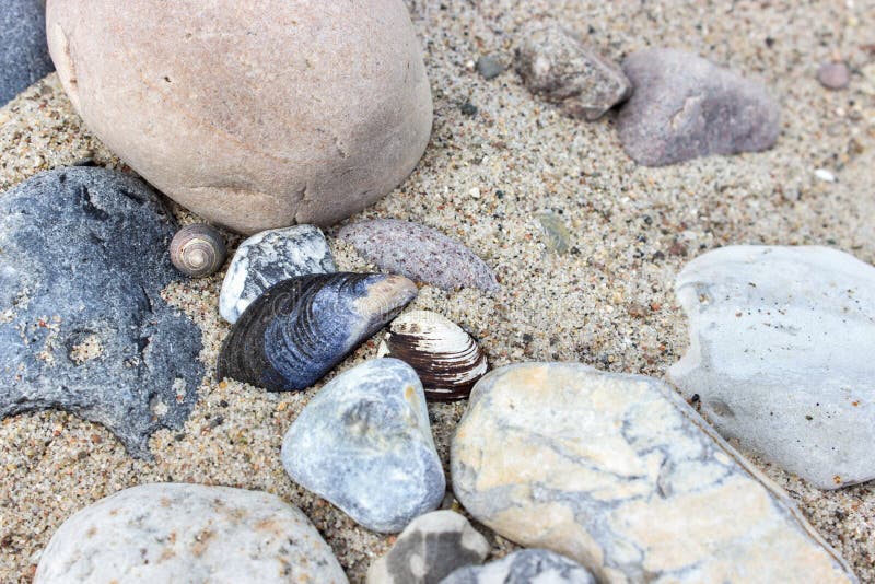 Stones and shells stock image. Image of blue, vacation - 57241475