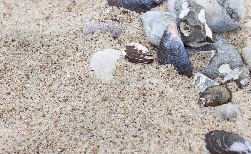 Stones and shells stock image. Image of travel, white - 57241795