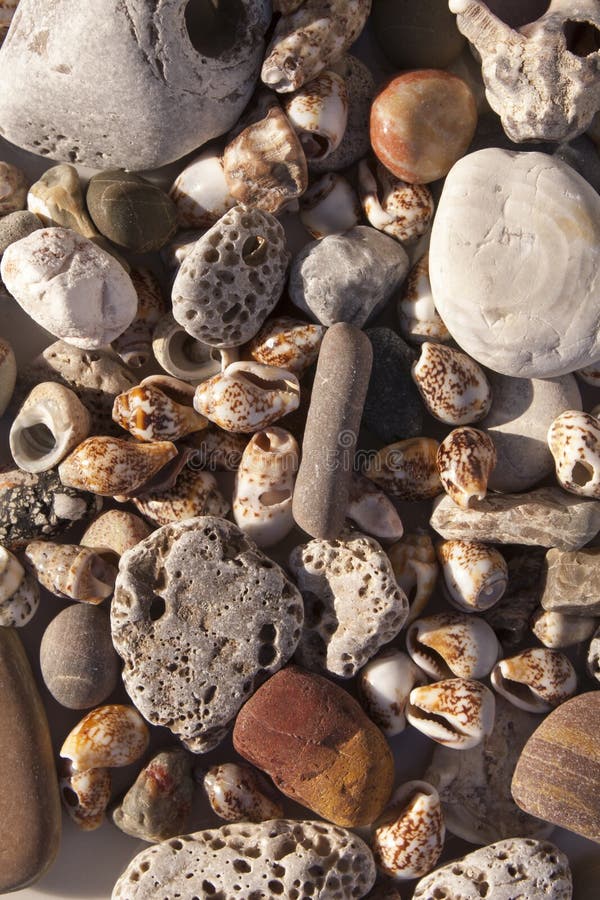 Sea Stones and shells stock photo. Image of rock, pebble - 64076540