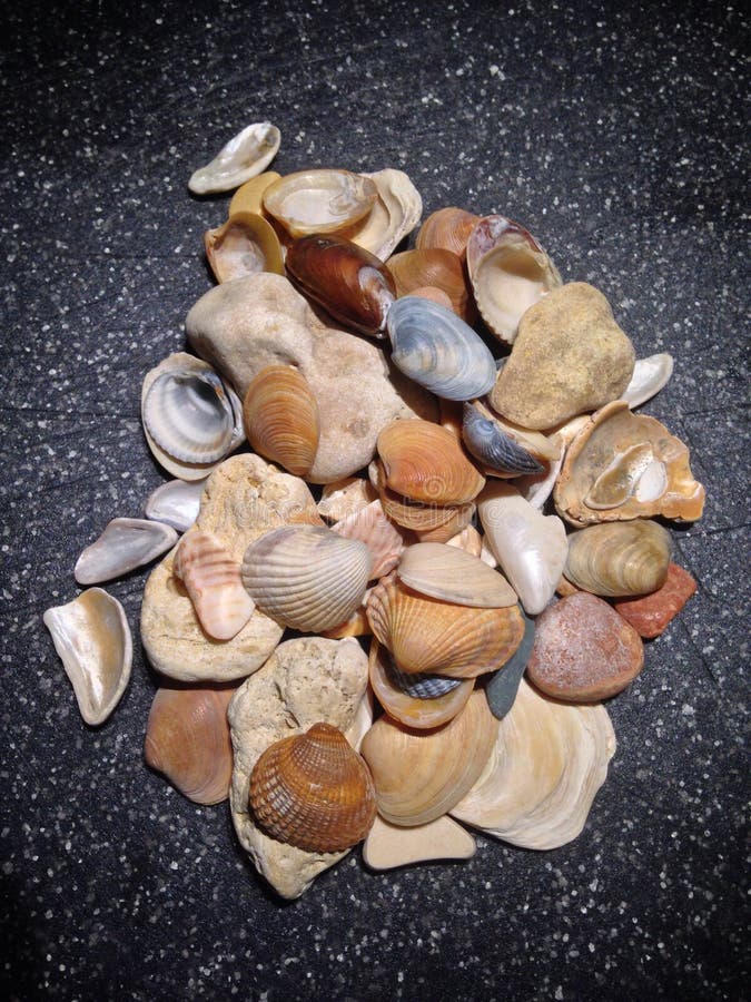 Stones and Shells in Darkness Stock Image - Image of stones, multiverse ...