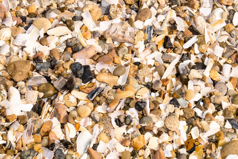 Stones and shells stock image. Image of granite, bright - 170947907