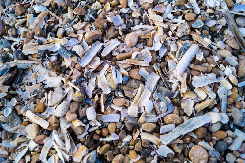 Stones and shells stock photo. Image of mosaic, diamond - 170948060