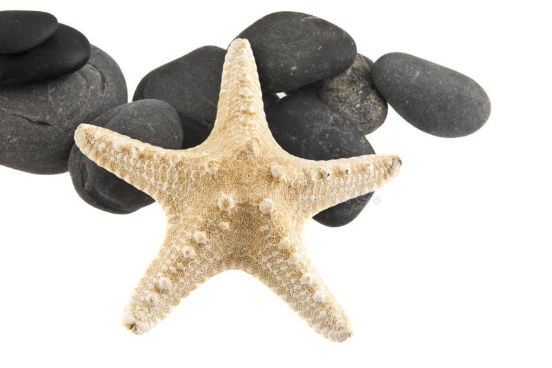 Stones and starfish stock image. Image of color, background - 199469149