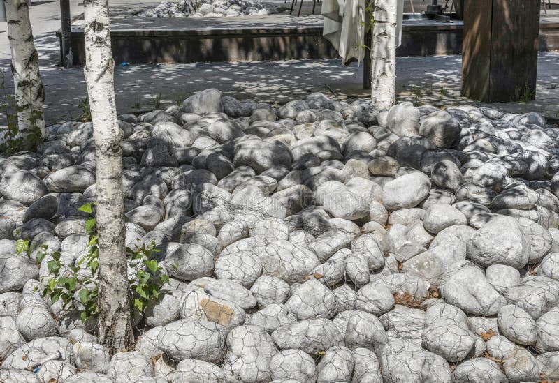 Stones surrounding trees. stock image. Image of trees - 121959569
