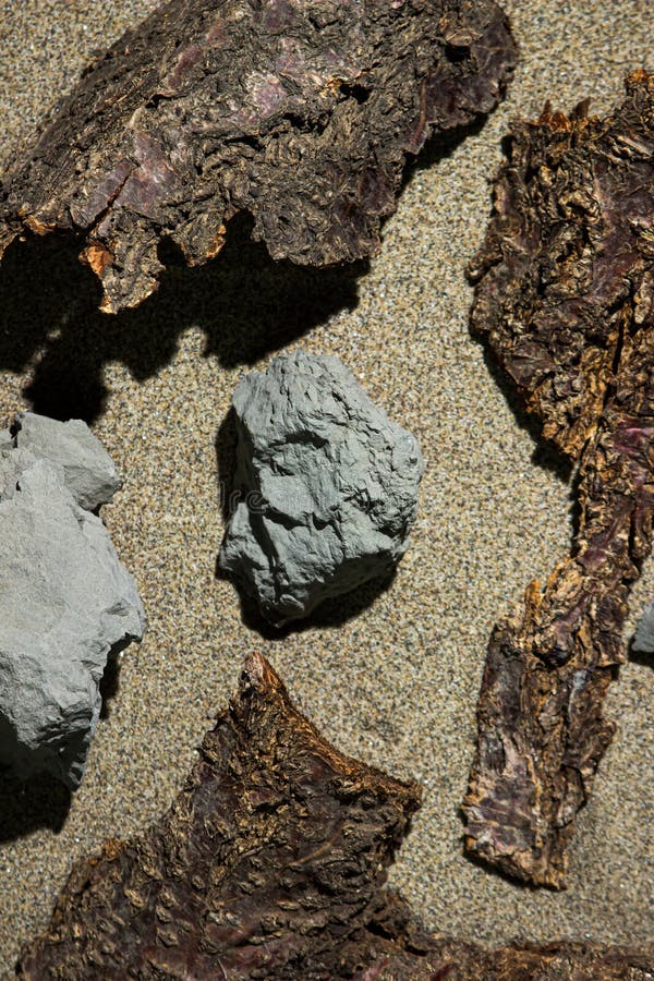 Stones and Tree Bark on a Background of Sand. Natural Background for ...