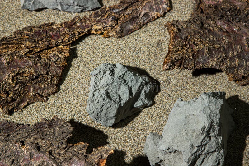 Stones and Tree Bark on a Background of Sand. Natural Background for ...