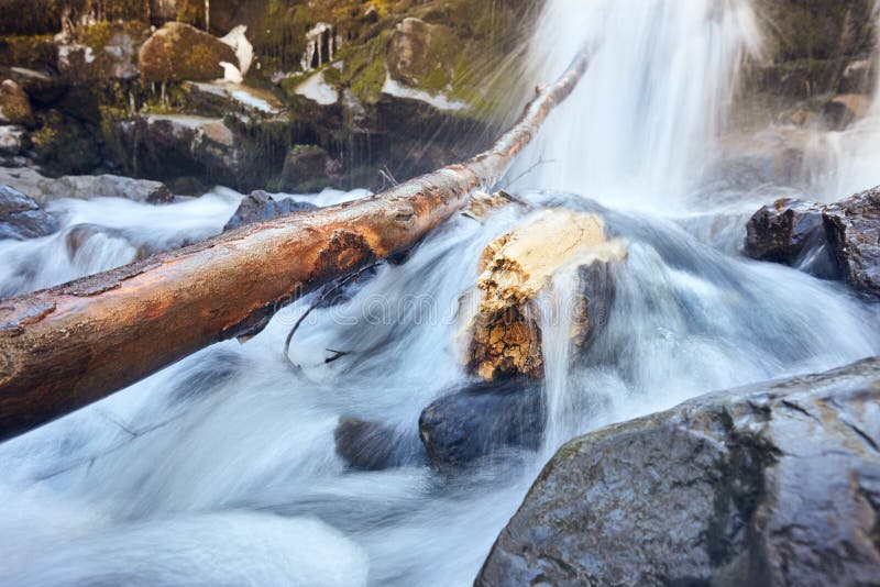 Stones and Tree Branch Under Small Cascading Waterfall Stock Image ...