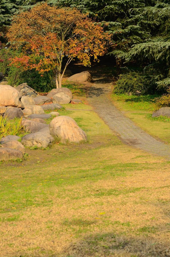 Stones, Trees and Path stock image. Image of path, sunlihgt - 22386987