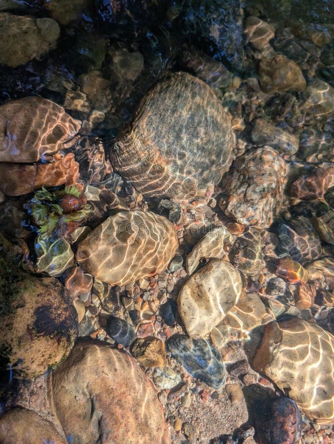 754 Underwater Stones Under Sunlight Stock Photos - Free & Royalty-Free ...
