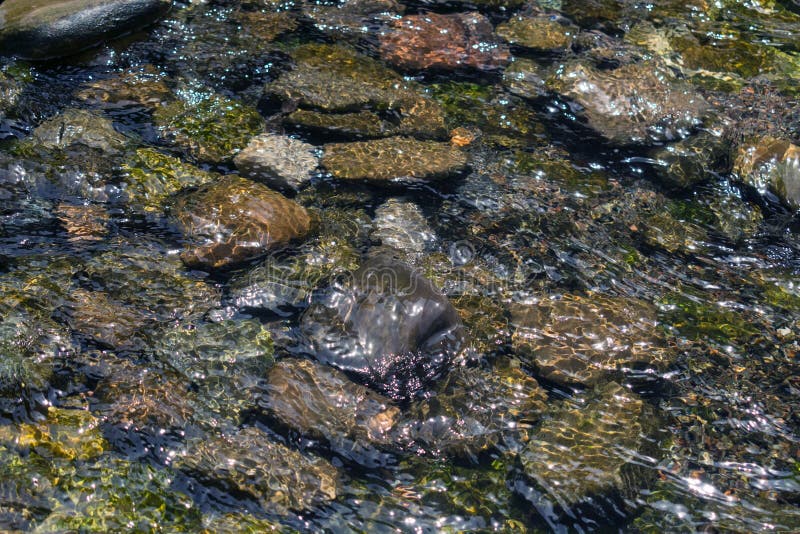 Stones Under a Layer of Clear River Water. Natural Background of River ...