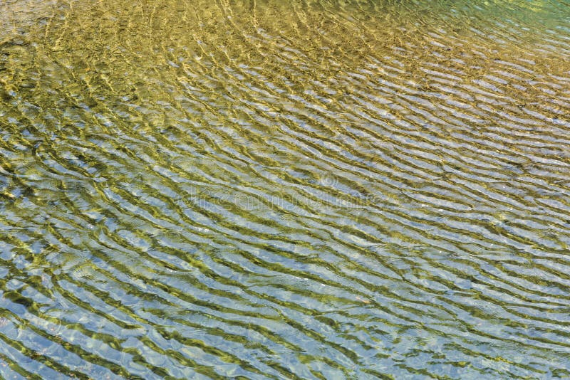 The Water Ripples on the Surface of the Pond. Stock Image - Image of ...