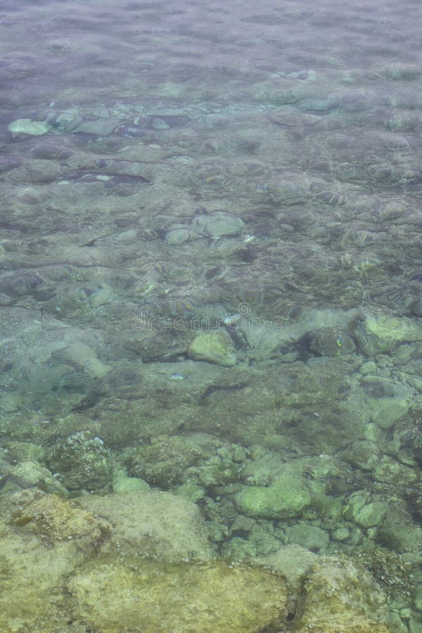 Stones Under Water. Seashore Stock Image - Image of bottom, light ...
