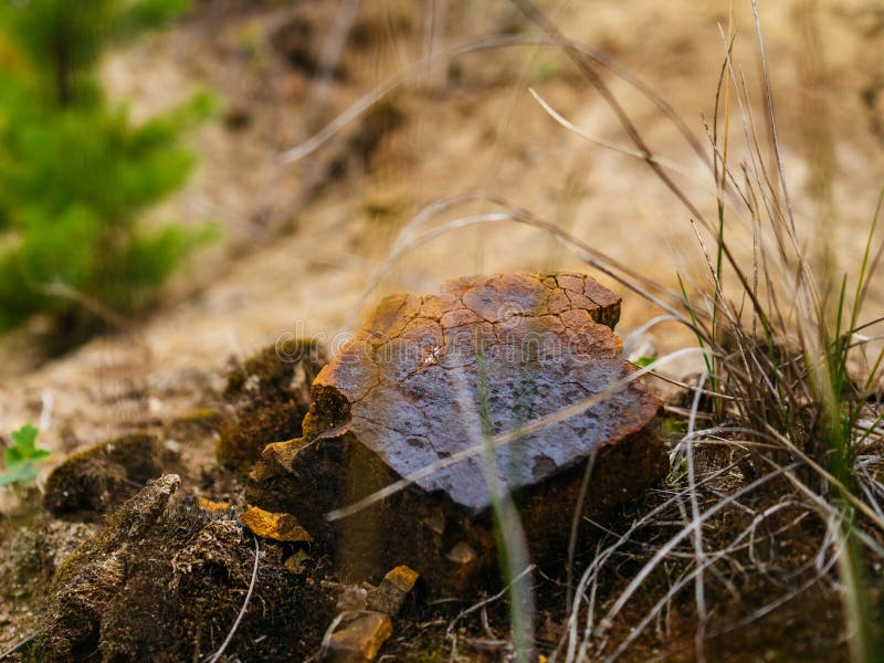 Stones with Veins of Iron. Natural Iron Ore Stock Photo - Image of cave ...