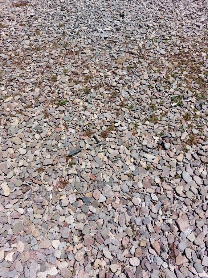 Stones Walk Floor Nature Rocks Stock Photo - Image of stones, rocks ...
