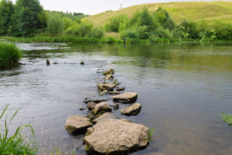 Stones in the Water of a River Stream Stock Photo - Image of nature ...