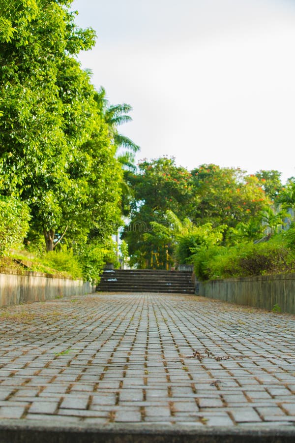 Stoneway at the garden stock image. Image of scenics - 79895447