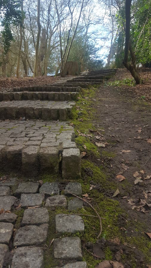 188 Stoney Path Photos Stock Photos - Free & Royalty-Free Stock Photos ...