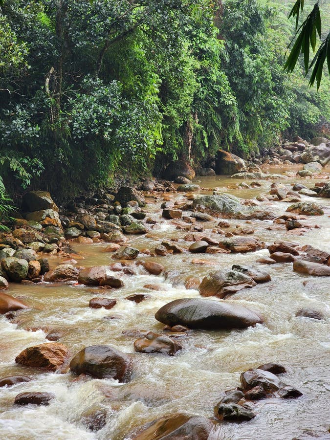Stoney river stock image. Image of valley, nature, waterfall - 269016419