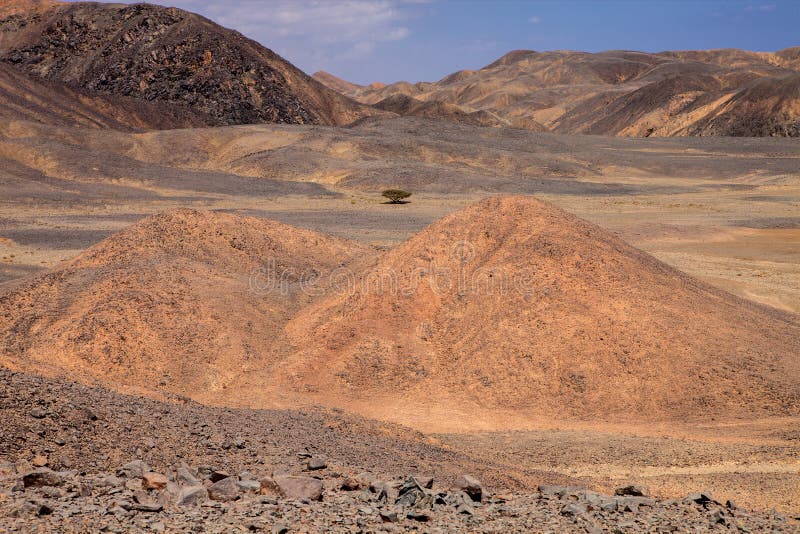 Stony desert in Egypt stock photo. Image of salt, east - 51823766