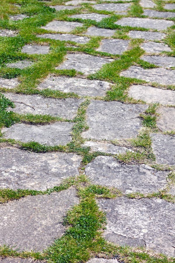 Overgrown pathway stock photo. Image of path, brick, spring - 6704778