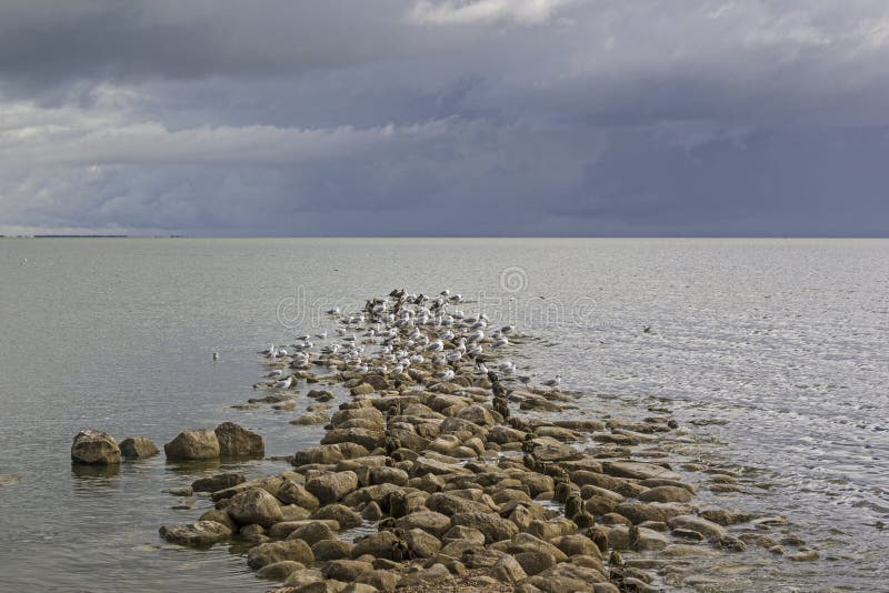 Stony pier stock photo. Image of landscape, dramatic - 61602440